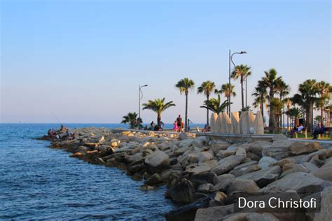 Limassol Things To Do Trip Experiences