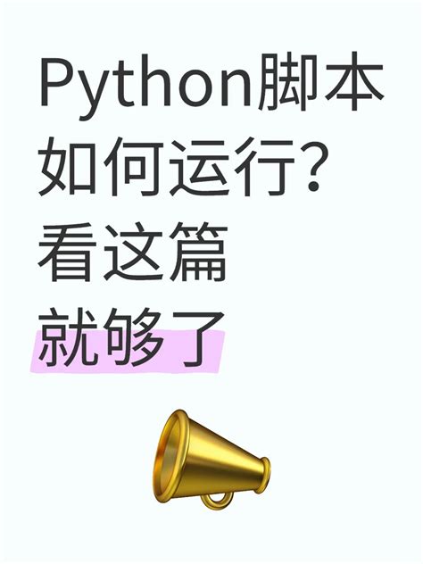 🔥python新手必看！windows终端运行脚本 夜雨聆风