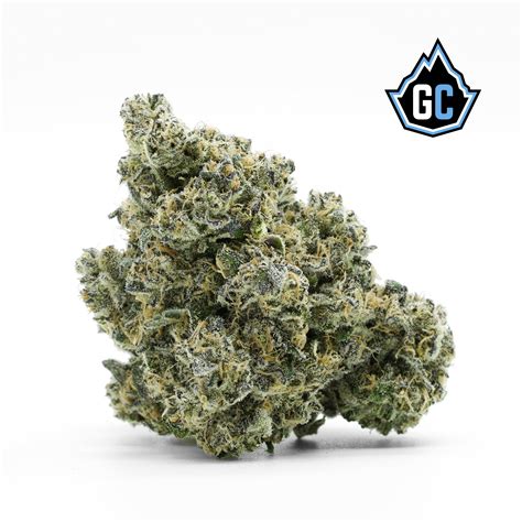 Cold Snap — Glacier Cannabis