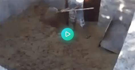 Teamzombie Album On Imgur