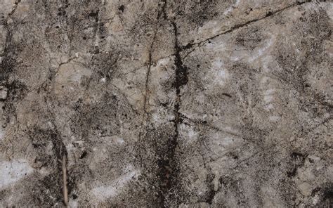 Download Grungy Stone Wall With Cracks Wallpaper