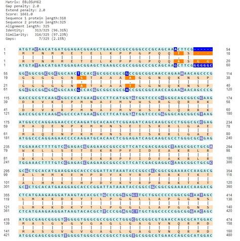 序列比对（sequence Alignment） 云舟生物