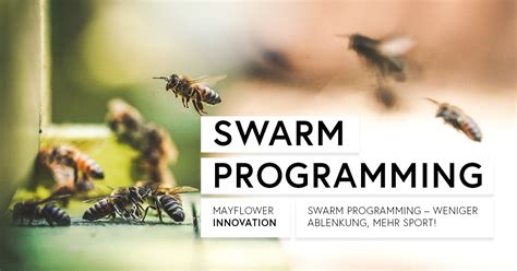 Swarm Programming Weiter Gedacht Mayflower Blog