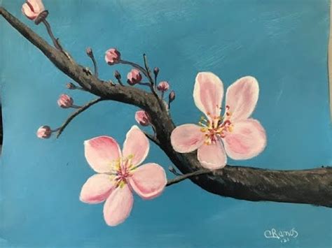 Pintando Sencillas Flores De Cerezo Pintura Acrilica Youtube