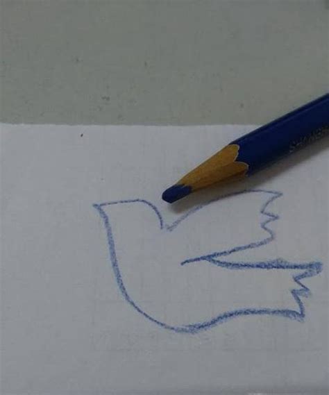和平鸽的简笔画彩色和平 简笔画图片大全 普车都