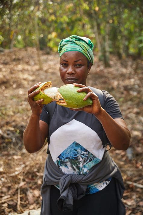 World Cocoa Foundation On Linkedin Cocoa Sustainablecocoa