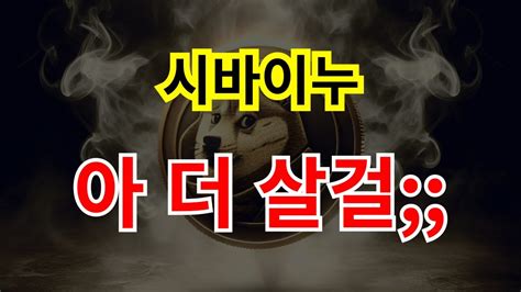 시바이누 코인 이거 진짜 마지막 풀매수 기회입니다 13원 Youtube