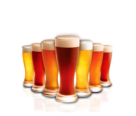 Beer Pint Png Png Image Collection The Best Porn Website