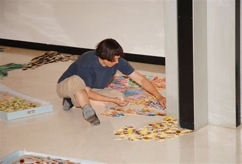 Polly Apfelbaum Buffalo Akg Art Museum