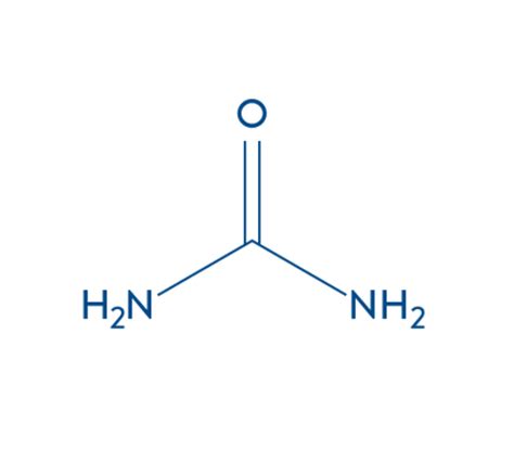 Urea Cream How Urea Cream Can Benefit Your Skin Cetaphil