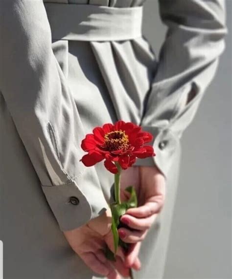 В характере человека есть три золотых качества терпение чувство меры и умение молчать Иногда