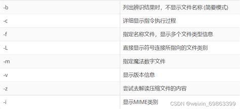 File和stat命令的使用file Stat Csdn博客