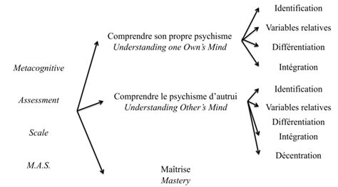 Différents Domaines De La Metacognitive Assessment Scale D Après