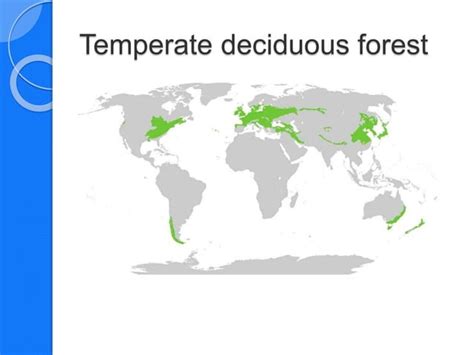 Forests Deciduous Evergreen Pptx