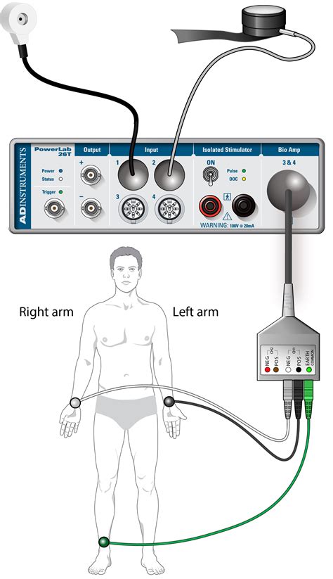 Settings For Sampling Panels In Lt Ecg Pcg And Pulse Adinstruments
