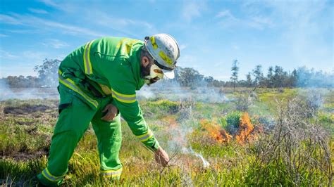 Destined For Failure Unless Indigenous Cultural Burns Done In