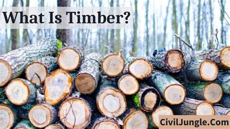 Timber Definition Noun At Latonya Langley Blog