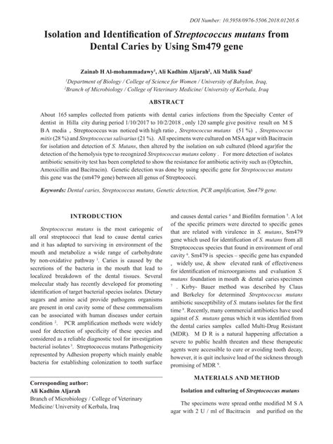 Pdf Isolation And Identification Of Streptococcus Mutans From Dental Caries By Using Sm479 Gene