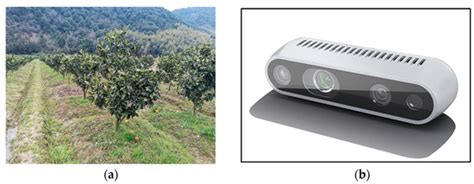 Applied Sciences Free Full Text Citrus Tree Crown Segmentation Of