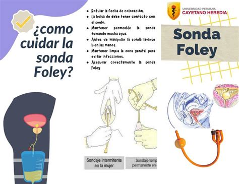 Sonda Foley Nursing Assist4nce UDocz