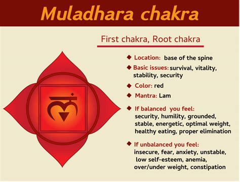 10 Crystals To Use To Heal Your Root Chakra Everybody In Mind