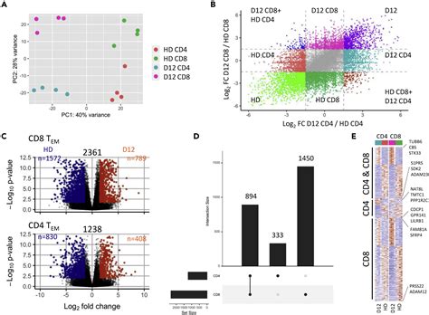 Lymphopenia Induced Lymphoproliferation Drives Activation Of Naive T