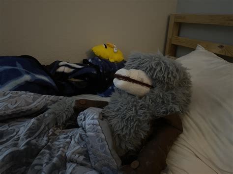 The Lil Fella Sleeping Rdhmis