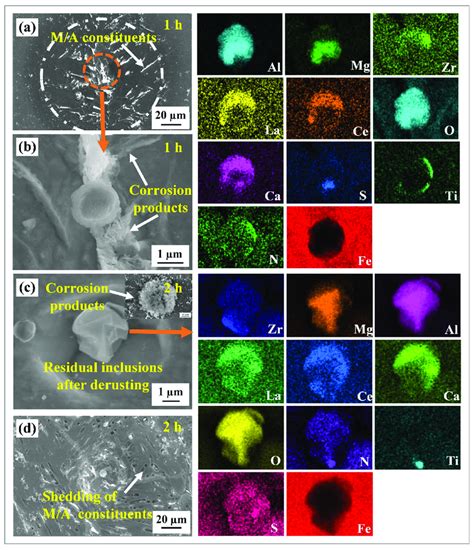 Sem Images And Eds Results Of The Immersion Test A B Immersion For Download Scientific