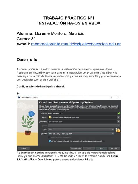mauricio montoro llorente trabajo practico 1 instalando haos en