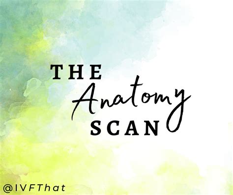 The Anatomy Scan Ivf That