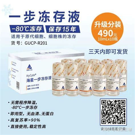 H9c2大鼠心肌细胞培养攻略 知乎