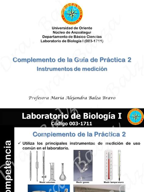 Complemento De La Guía De Práctica 2 Pdf