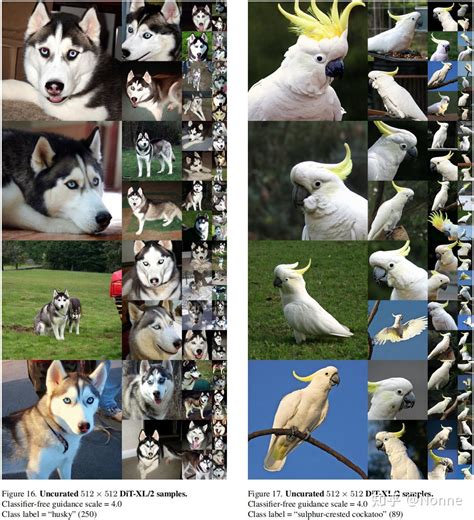 【论文精读】diffusion transformer（dit） 知乎