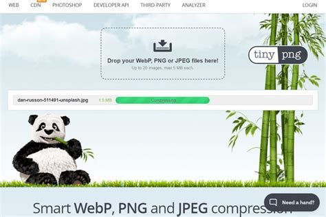 Top Image Optimization Tools For Your Site Development
