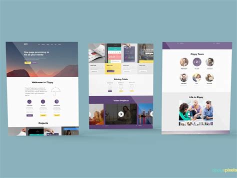 Install Wordpress Setup Theme Demo Import Do Customization Upwork