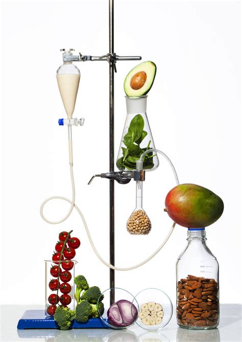 Doctor Erick Lopez La Medicina Nutricional Ortomolecular Nutraceuticos