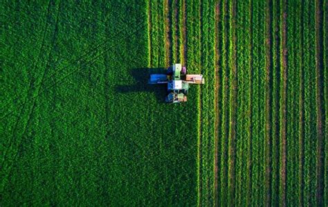 Pib Do Agronegócio Brasil Alcança Us 500 Bilhões Sociedade Nacional