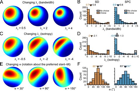 Figures And Data In Functional Links Between Sensory Representations