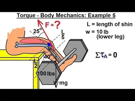 Physics Torque Body Mechanics