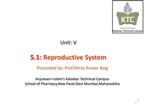 Reproductive System Ppt