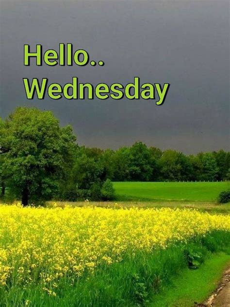 Dla Ka Dego Wednesday