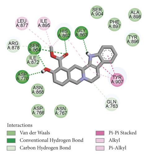 The Binding Pattern Of Yohimbine Derived From R Serpentina With Download Scientific Diagram