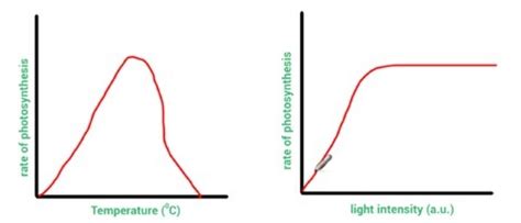 Describing Explaining And Comparing Graphs My GCSE Science