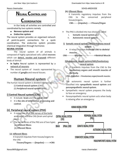 Hsslivexineural Control 2023 Pdf Chemical Synapse Neuron