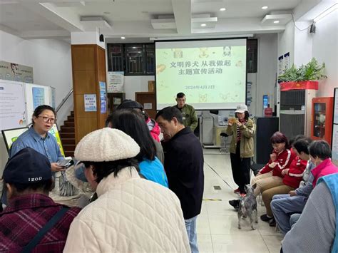 文明一线牵丨萌宠随行，文明相伴