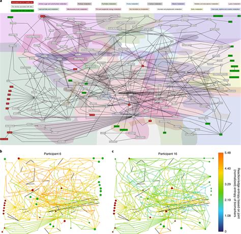 Urinary Metabolic Reaction Networks Built Using The Metabonetworks Download Scientific Diagram