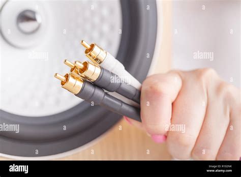 Input RCA Connectors On The Back Of Loudspeaker Stock Photo Alamy