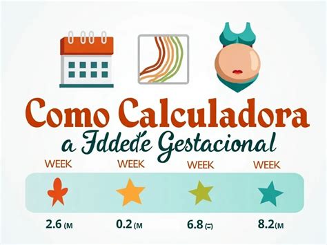 Calculadora De Idade Gestacional Calculadorafácil