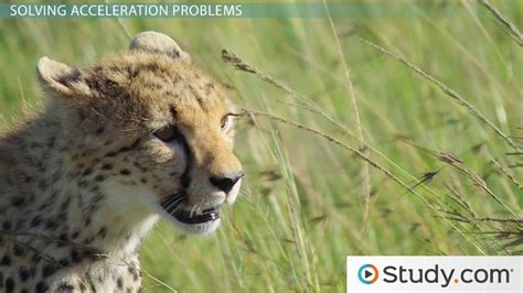 Acceleration Definition Formula And Examples Lesson