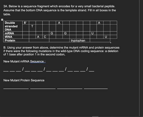 Solved 3a Below Is A Sequence Fragment Which Encodes For A